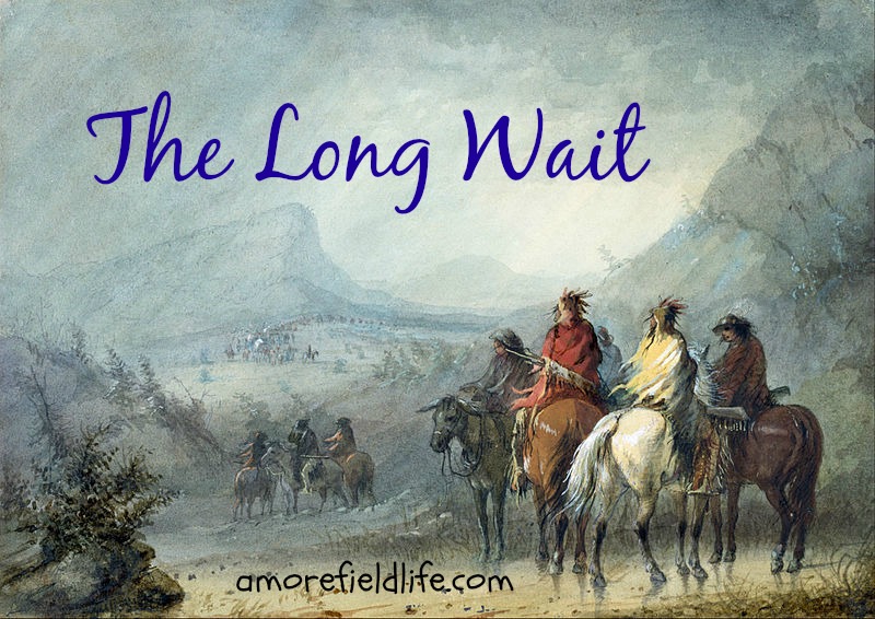 The Long Wait - A Morefield Life